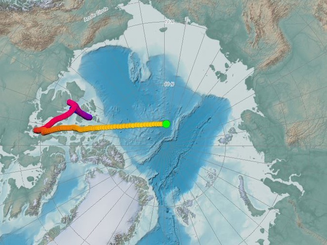 Will the projected shift of the magnetic north pole in 2021 be greater ...
